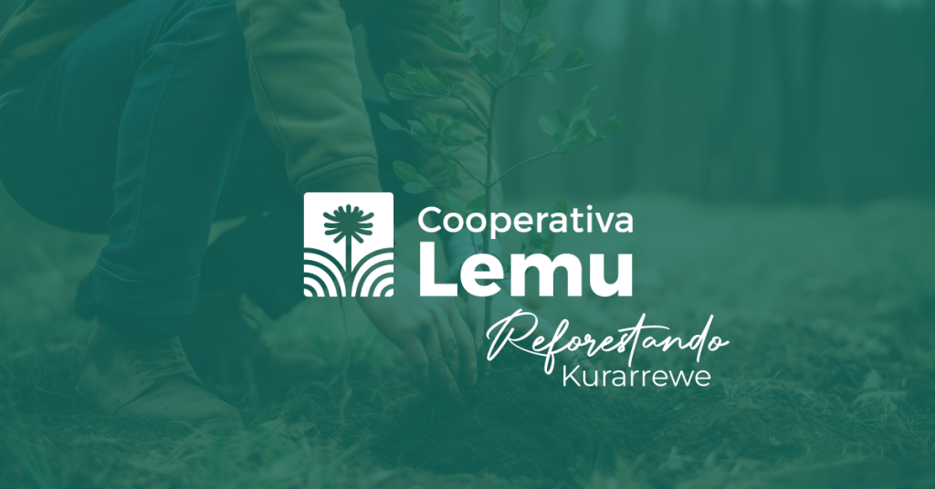 Cooperativa Lemu - Kurarrewe